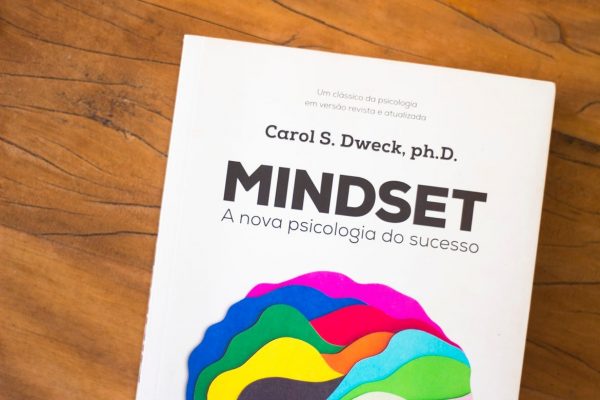 Dica de livro: "Mindset: a Nova Psicologia do Sucesso" - EnsinE